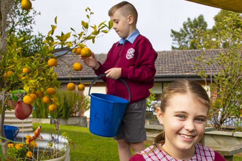St. Paul’s Primary School - Maitland Catholic Parishes